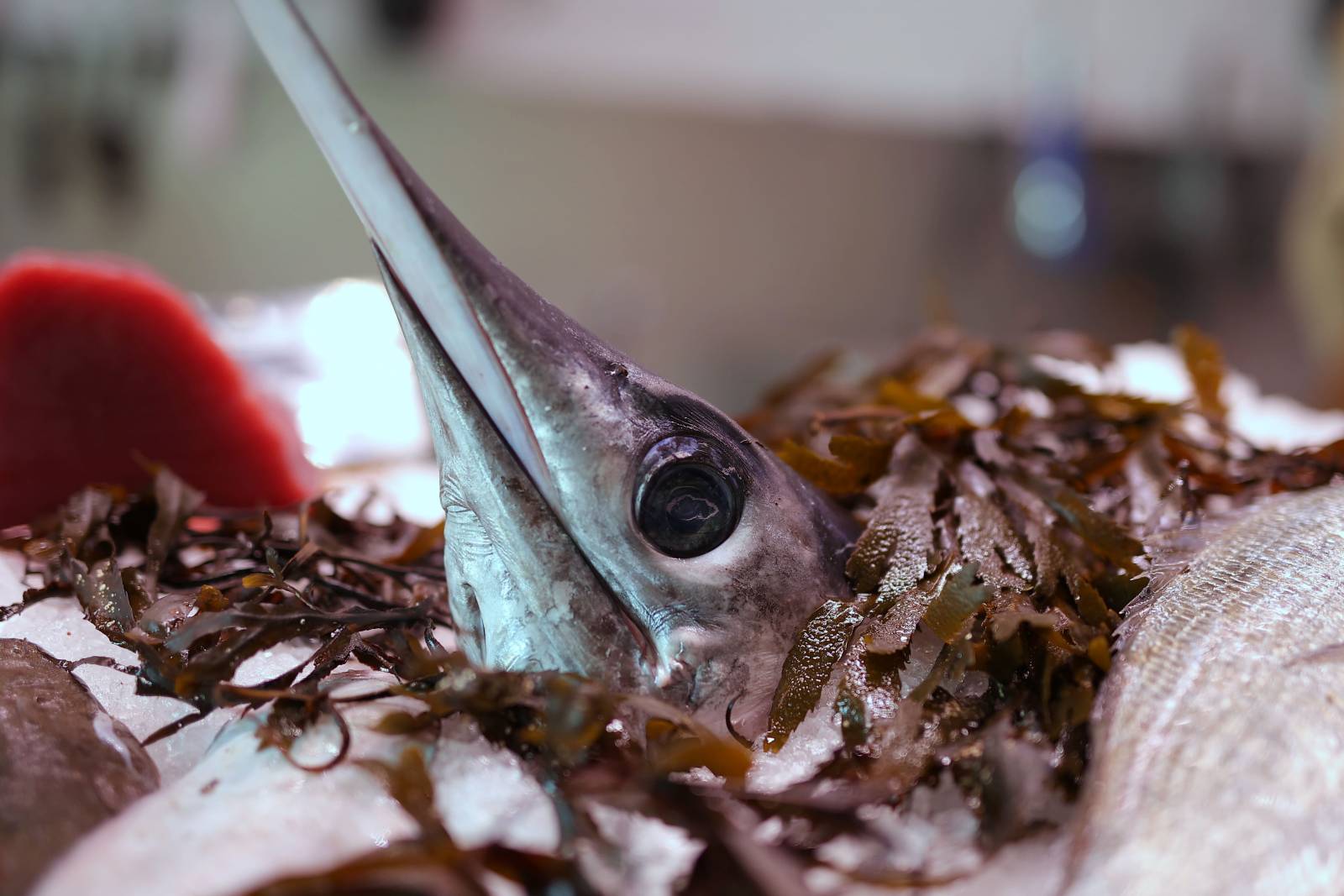Acheter du poissons frais pêche du jour au Crès vers Montpellier ...